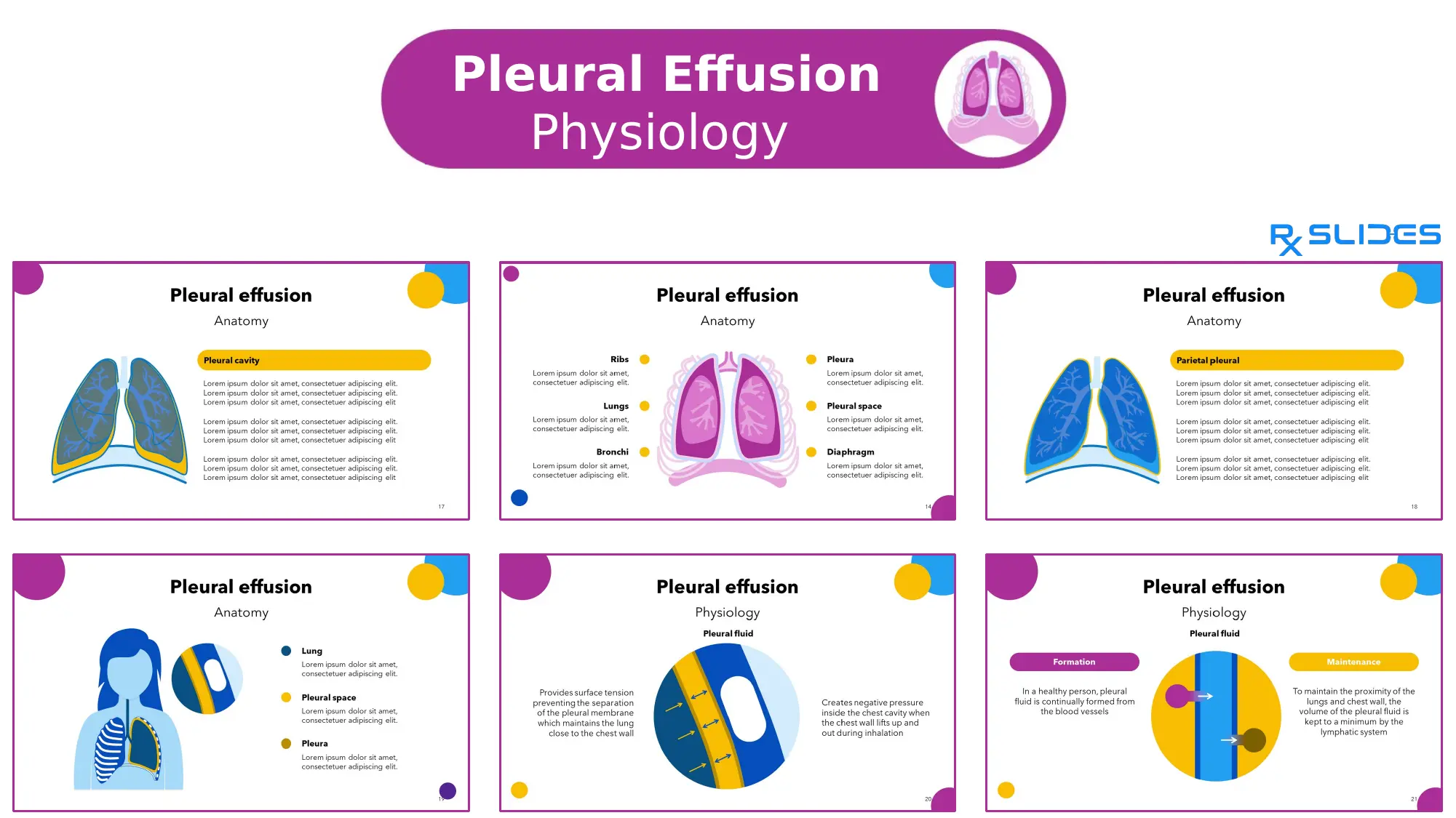 Download Pleural Effusion PowerPoint Template|RxSlides